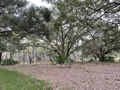 Best Hikes and Trails in Split Oak Forest Wildlife And Environmental ...