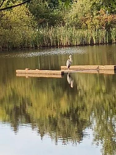 Best Hikes and Trails in Horn Pond Recreation Area | AllTrails