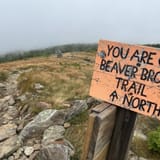 Beaver Brook Trail to Mount Moosilauke, New Hampshire - 1,231 Reviews ...