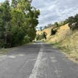 Memory Grove Trail, Utah - 1,293 Reviews, Map | AllTrails