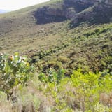 Paradyskloof Waterfall, Western Cape, South Africa - 707 Reviews, Map ...