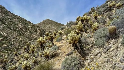 2023 Best Historic Site Trails in Jacumba | AllTrails