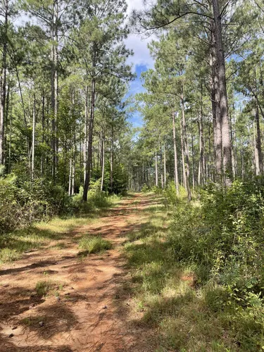 Best Hikes and Trails in Dauset Trails Nature Center | AllTrails