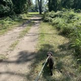 Fort Howard Park Trail, Maryland - 170 Reviews, Map | AllTrails