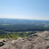 Pinnacle Overlook Trail, Kentucky - 196 Reviews, Map | AllTrails