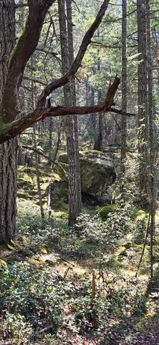 2023 Best Easy Trails in Mount Work Regional Park | AllTrails