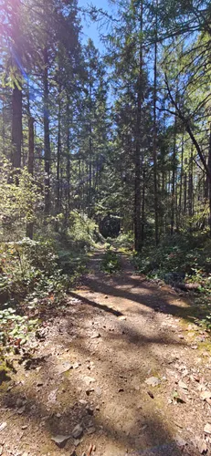 2023 Best Easy Trails in Mount Work Regional Park | AllTrails