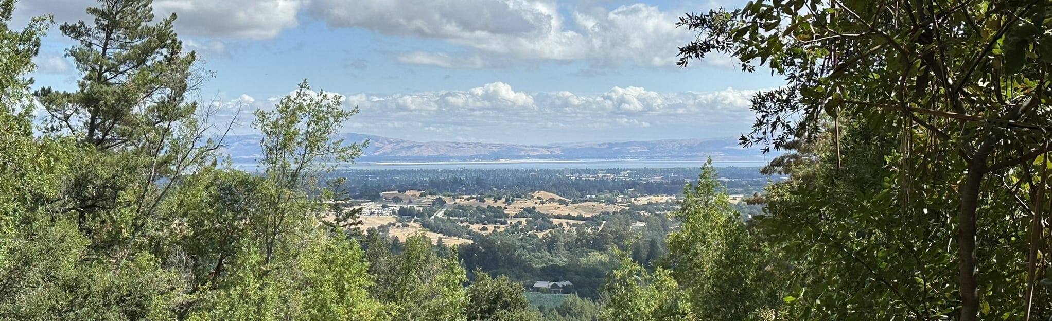 Alambique, Skyline, Meadow and Bear Gulch Trail Loop, California - 85 ...