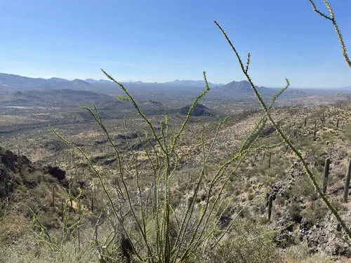 2023 Best Moderate Trails in Spur Cross Ranch Conservation Area | AllTrails