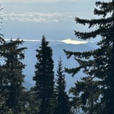 Mount Rose Trail, Washington - 1,384 Reviews, Map | AllTrails