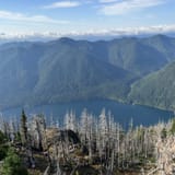 Mount Rose Trail, Washington - 1,384 Reviews, Map | AllTrails