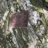 Stevens Glen Trail, Massachusetts - 402 Reviews, Map | AllTrails