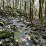 Stevens Glen Trail, Massachusetts - 402 Reviews, Map | AllTrails