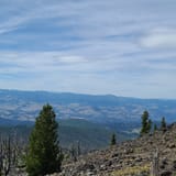 Casey Meadows Trail, Montana - 165 Reviews, Map | AllTrails
