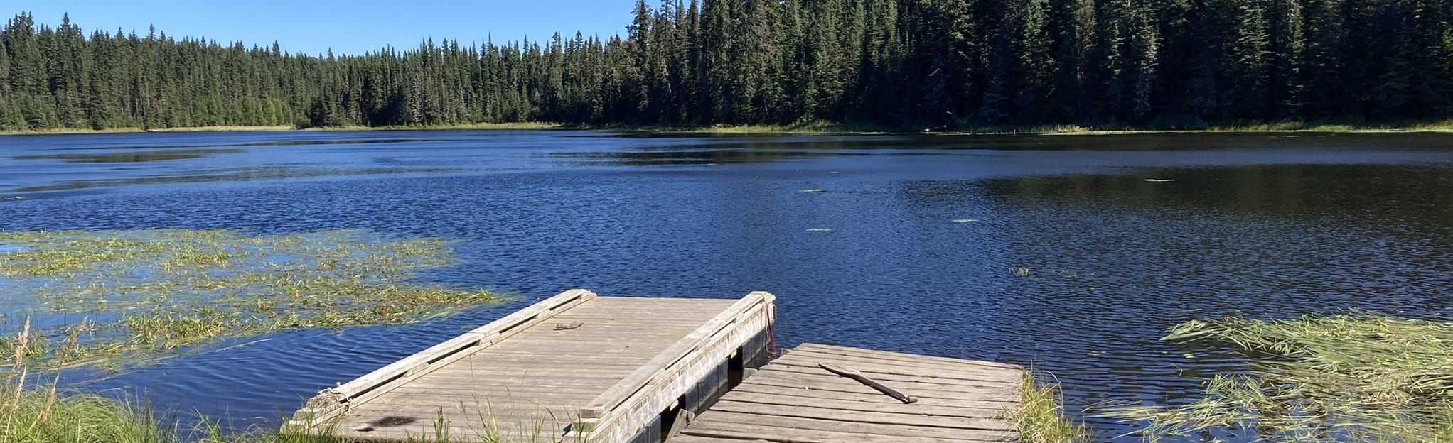 Lily Lake, Alberta, Canada - 57 Reviews, Map | AllTrails