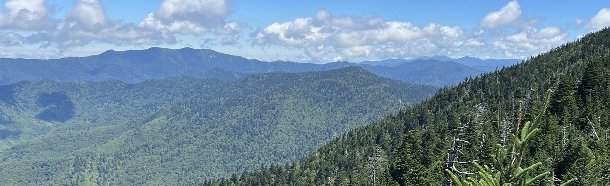 Goshen Prong via Appalachian Trail, North Carolina - 38 Reviews, Map ...