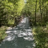 Limberlost Trail, Virginia - 787 Reviews, Map | AllTrails