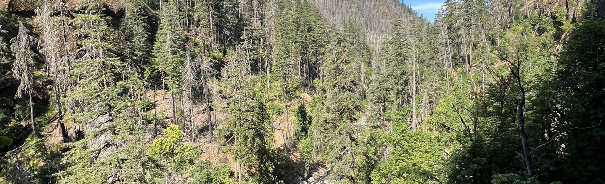 Eagle Creek Trail: 804 Reviews, Map - Oregon | AllTrails