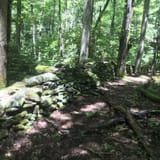 The Boogerman Trail, North Carolina - 460 Reviews, Map | AllTrails