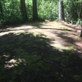 The Boogerman Trail, North Carolina - 460 Reviews, Map | AllTrails