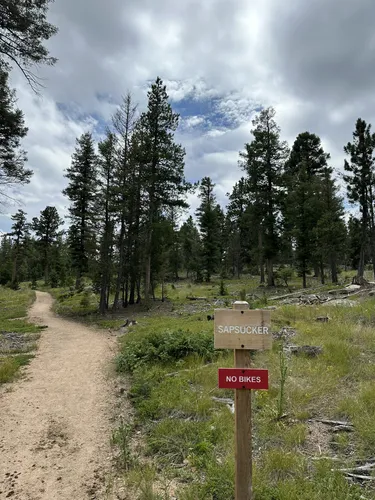 Best Hikes and Trails in Beaver Ranch Park | AllTrails