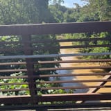 Noonday Creek Trail: Woofstock Park to Downtown Woodstock, Georgia ...