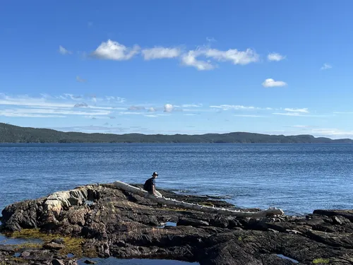 Best Hikes and Trails in Happy Adventure | AllTrails