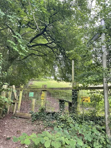 2023 Best Kid Friendly Trails in East Meon | AllTrails