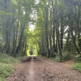 Meon Valley via Railway Line, Hampshire, England - 41 Reviews, Map ...