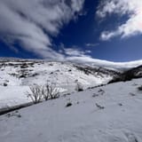 Illawong Walk, New South Wales, Australia - 330 Reviews, Map | AllTrails