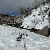 Illawong Walk, New South Wales, Australia - 330 Reviews, Map | AllTrails