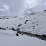 Illawong Walk, New South Wales, Australia - 330 Reviews, Map | AllTrails