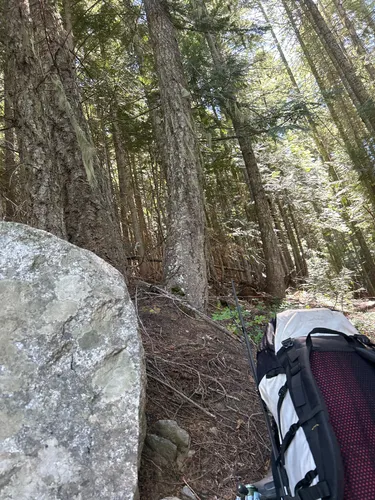 Best Backpacking Trails in Selway-Bitterroot Wilderness | AllTrails