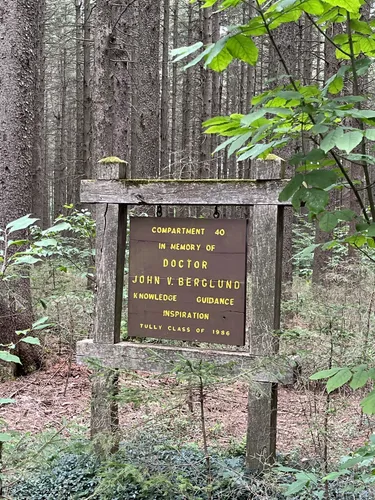 Best Hikes and Trails in Heiberg Memorial Forest | AllTrails