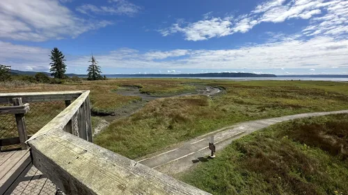 2023 Best River Trails in Dosewallips State Park | AllTrails
