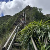 Moanalua Valley and Tripler Ridge Trail Loop, Oahu, Hawaii - 191 ...