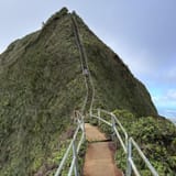 Moanalua Valley and Tripler Ridge Trail Loop, Oahu, Hawaii - 191 ...