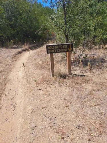 Best Hikes and Trails in North Shore Park | AllTrails