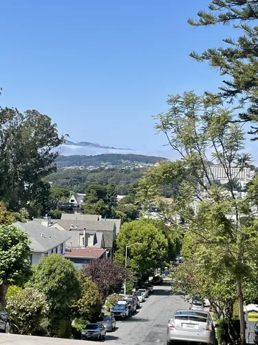 Best Hikes and Trails in Mount Sutro Open Space Reserve | AllTrails