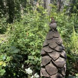 Mount Sutro Loop, California - 2,150 Reviews, Map | AllTrails