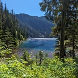 Hester Lake Trail, Washington - 63 Reviews, Map | AllTrails