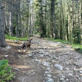 Thomas Lakes Trail, Colorado - 1,359 Reviews, Map | AllTrails