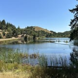 Lake Lagunitas, California - 645 Reviews, Map | AllTrails