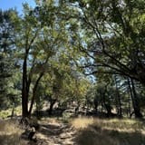 Lake Lagunitas, California - 645 Reviews, Map | AllTrails