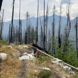 Domke Lake Trail, Washington - 26 Reviews, Map | AllTrails