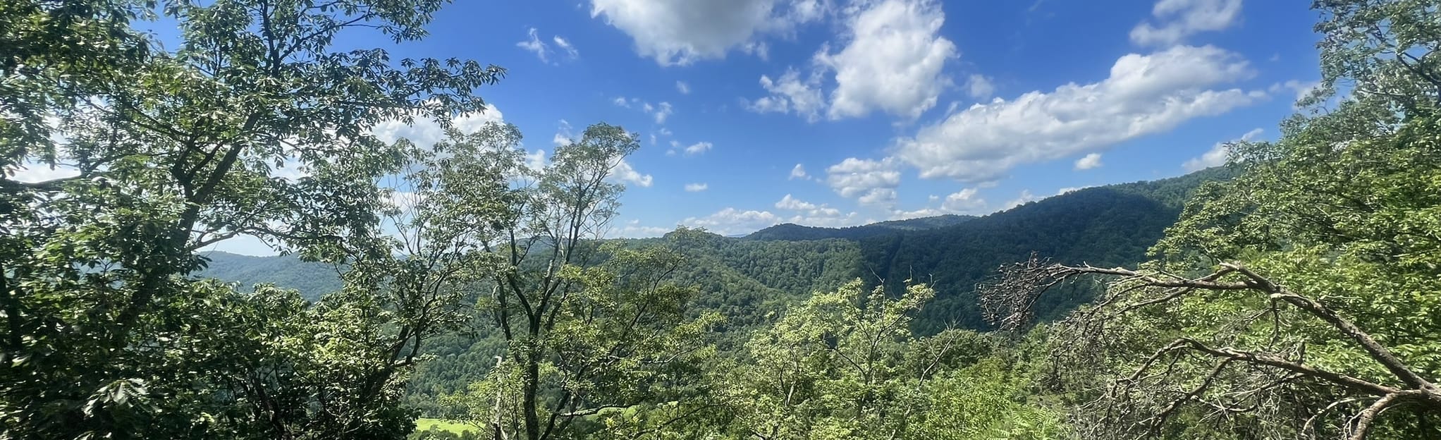AllTrails | High Top Mountain and Woods Mountain Loop: 208 Reviews, Map ...