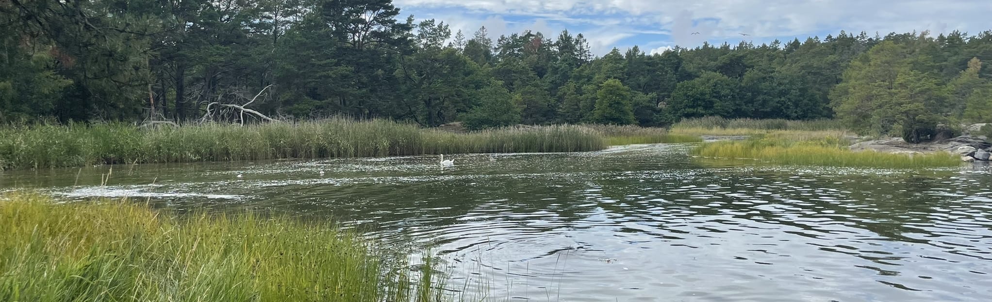 Utö Loop, Stockholm, Sweden - 19 Reviews, Map | AllTrails