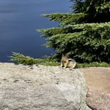 Discovery Point Trail, Oregon - 1,529 Reviews, Map | AllTrails