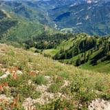 Gobblers Knob via Alexander Basin Trail, Utah - 629 Reviews, Map ...