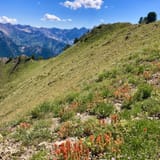 Gobblers Knob via Alexander Basin Trail, Utah - 629 Reviews, Map ...